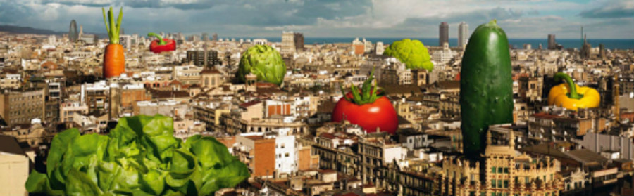 Repisa Balcón :: EcoGente